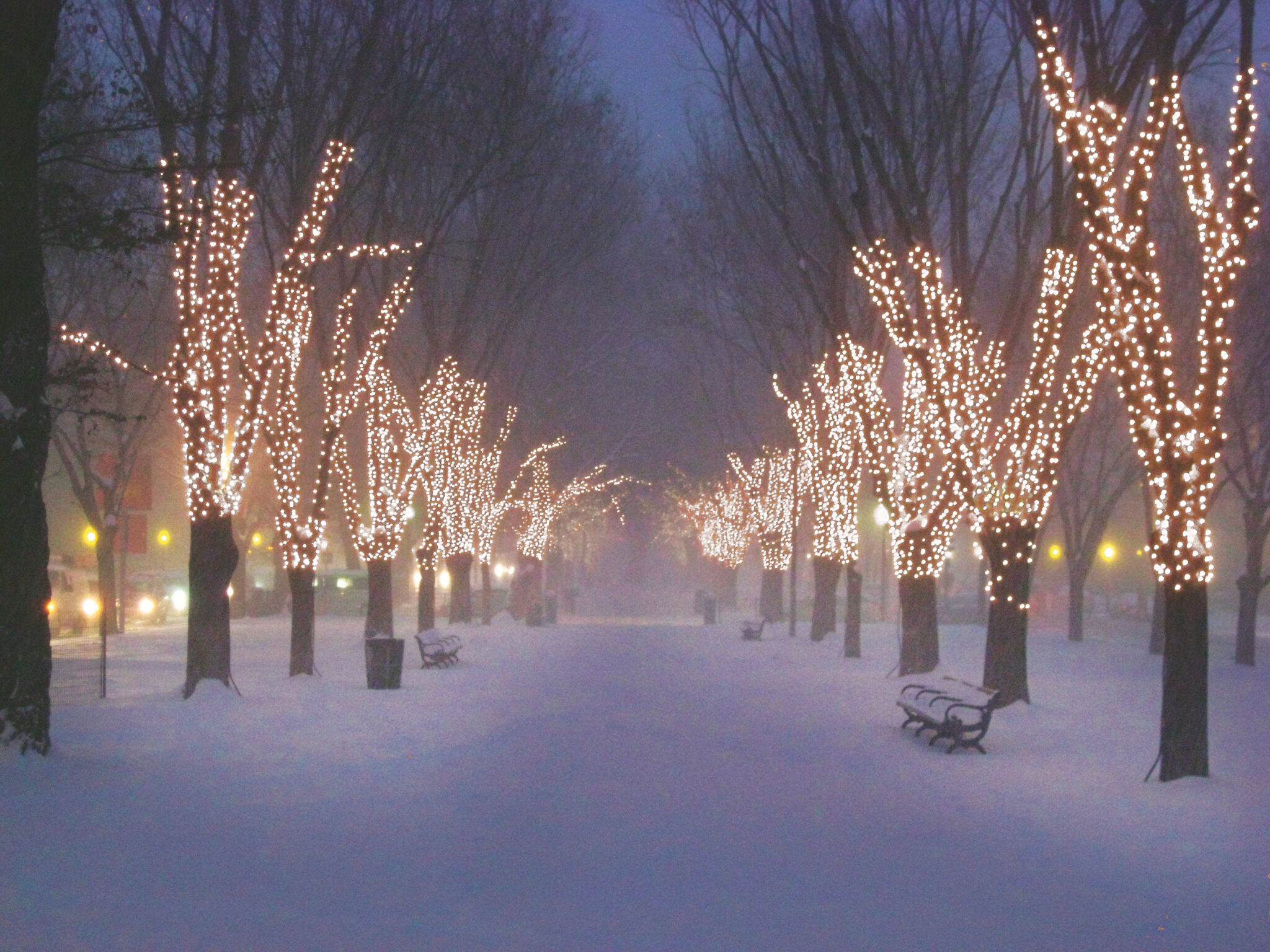 Pixel Protocol - Traxon e:cue North America